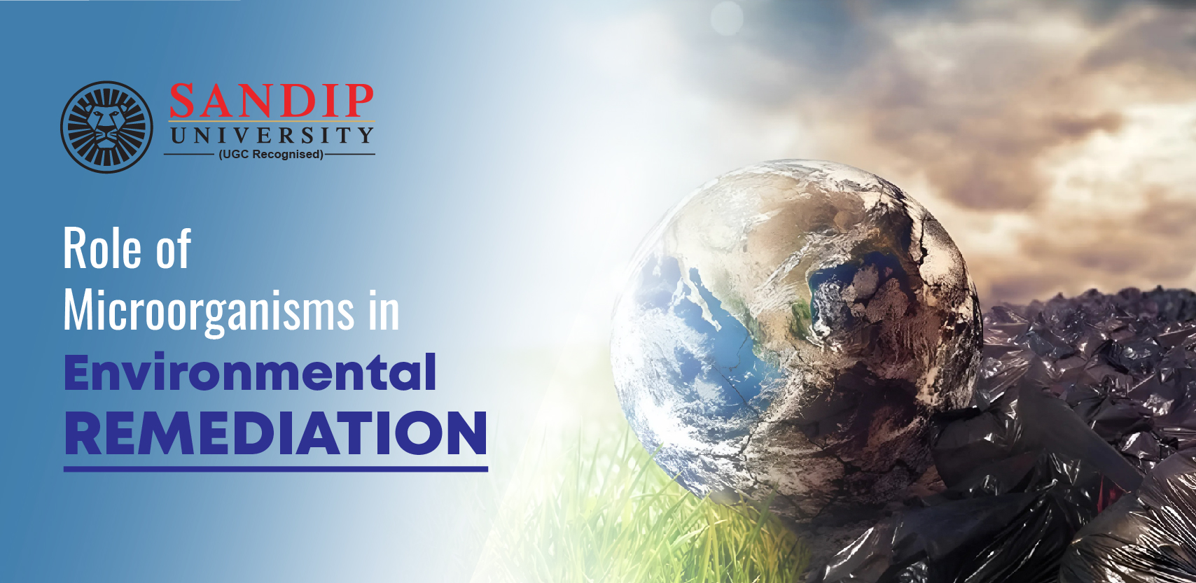 Microorganisms in Environmental Cleanup | Sandip University