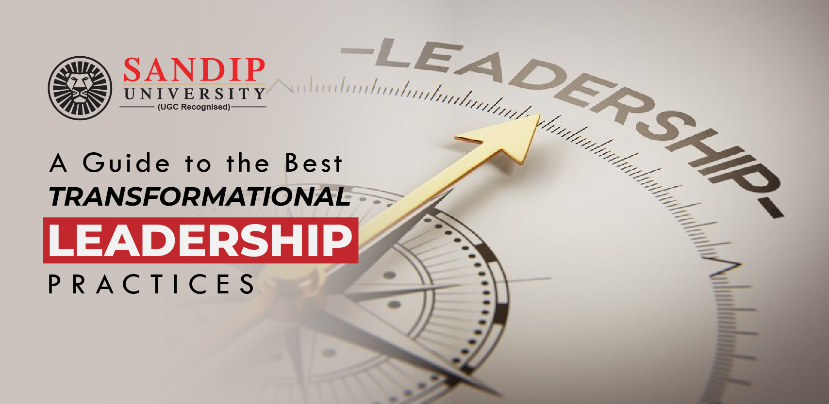 The Best Practices of Transformational Leadership