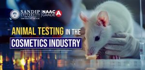 Animal Testing in Cosmetics: Ethics, Laws & Alternatives